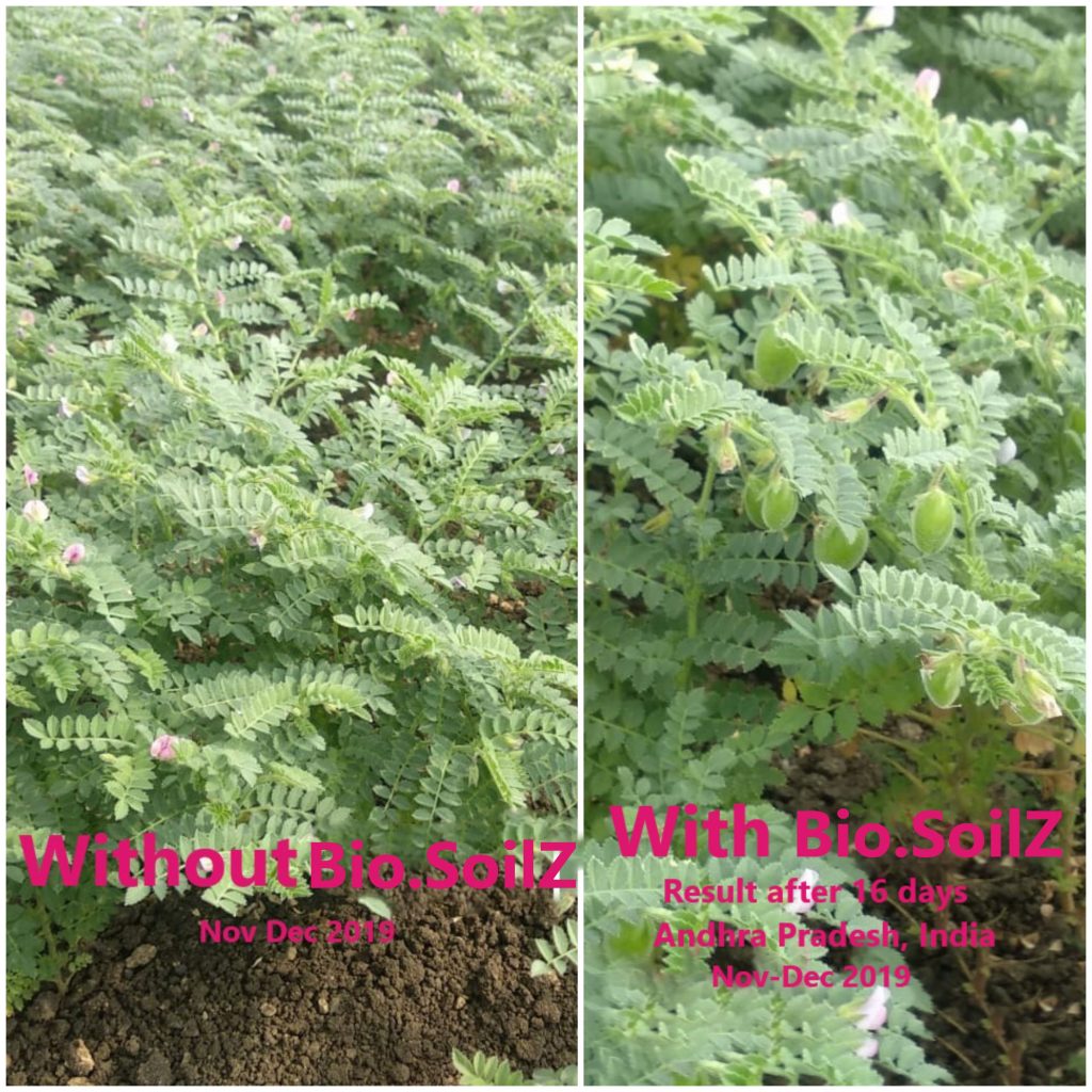 Gallery Test - Bio.SoilZ